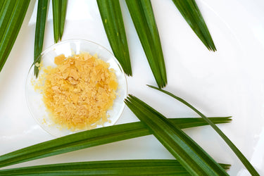 Pure, Powerful, Perfect – Zymöl